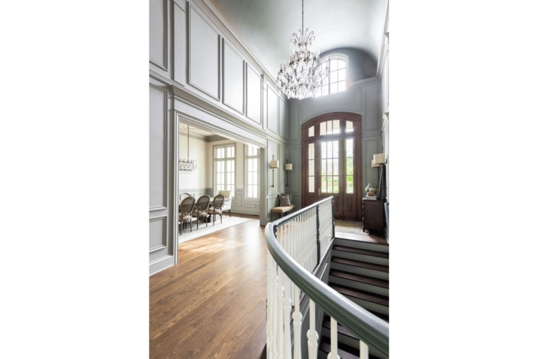 Drosera – Emily Dyer Design